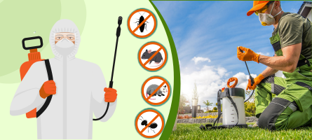 About Us - Emergency Pest Control Box Hill